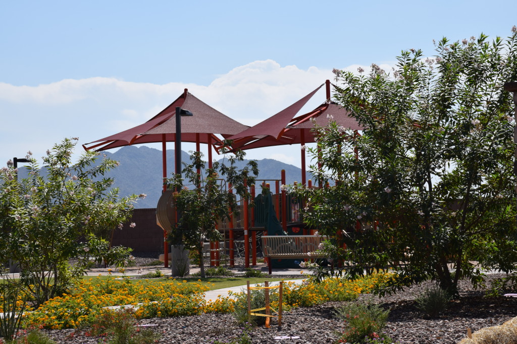 Introducing Legacy | Fulton Homes